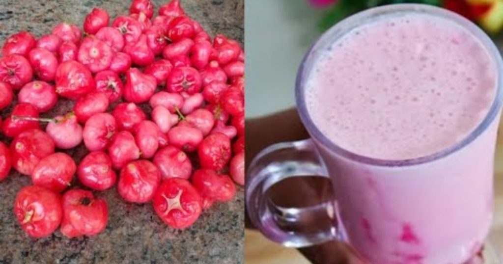 Chambakka Drink Recipe ചാമ്പക്ക ഉണ്ടോ.!! ഇങ്ങനെ ഉണ്ടാക്കിയാൽ ഒറ്റ ...